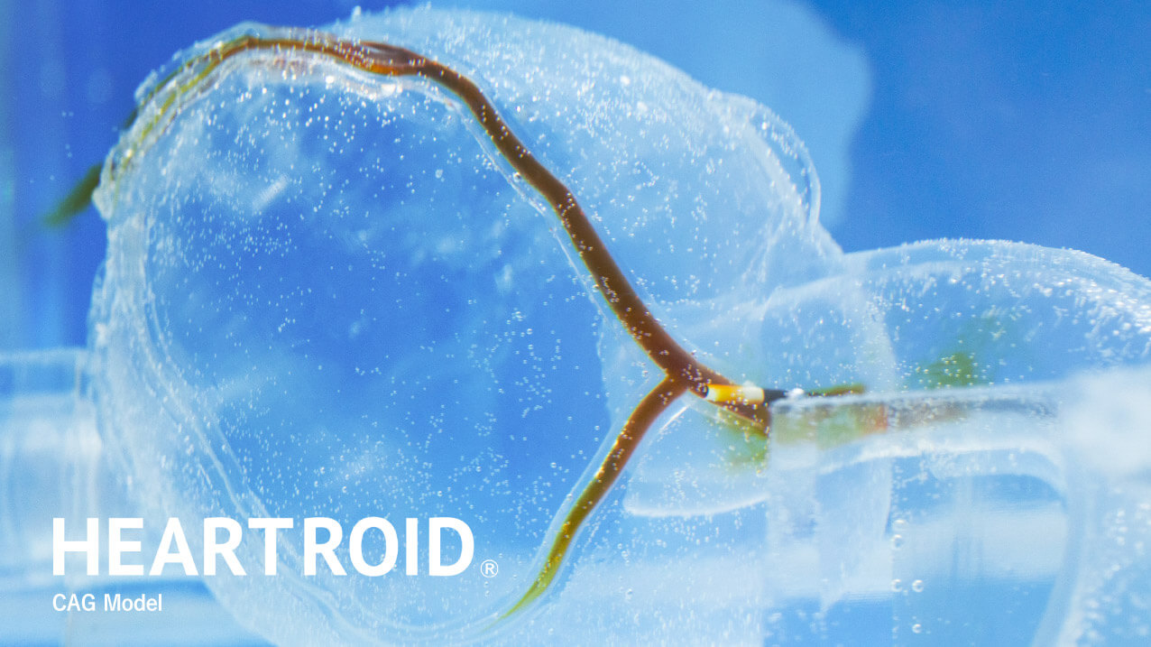 CAGモデル｜HEARTROID｜心臓カテーテルトレーニングシステム