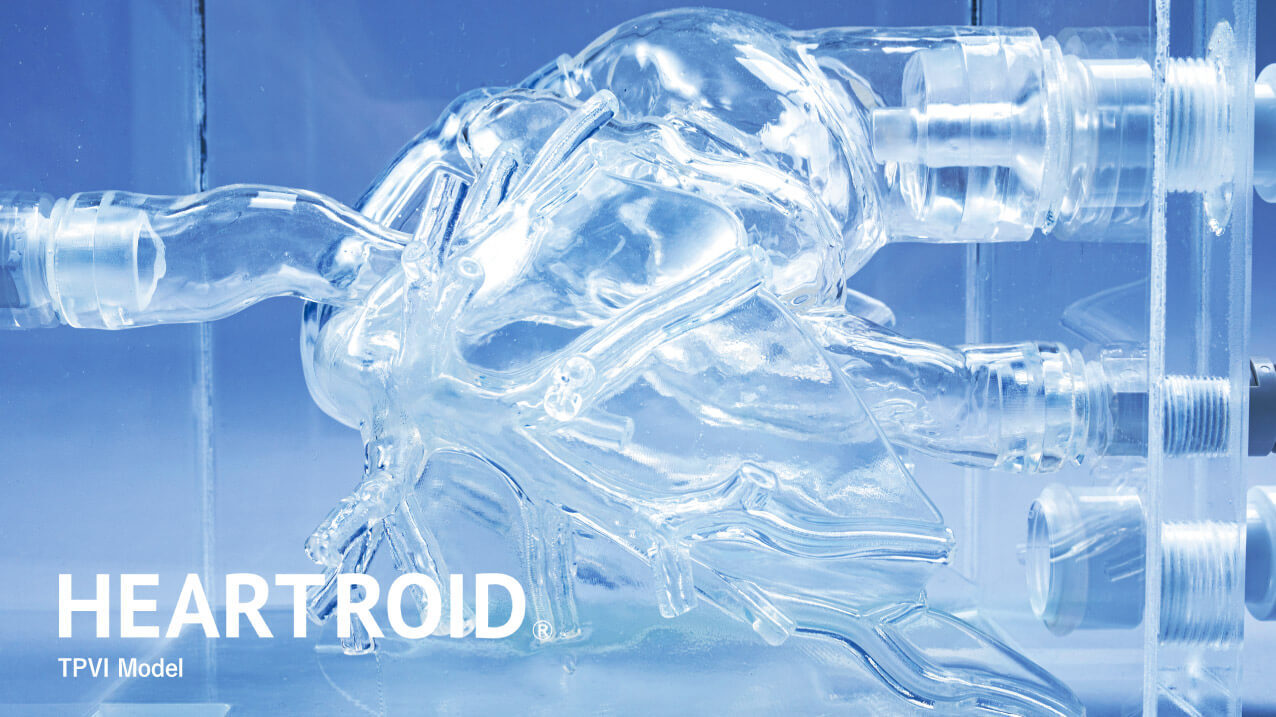 TPVIモデル｜HEARTROID｜心臓カテーテルトレーニングシステム